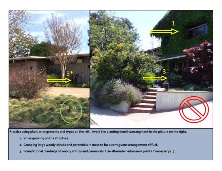 New California AB-38 Fire Disclosure