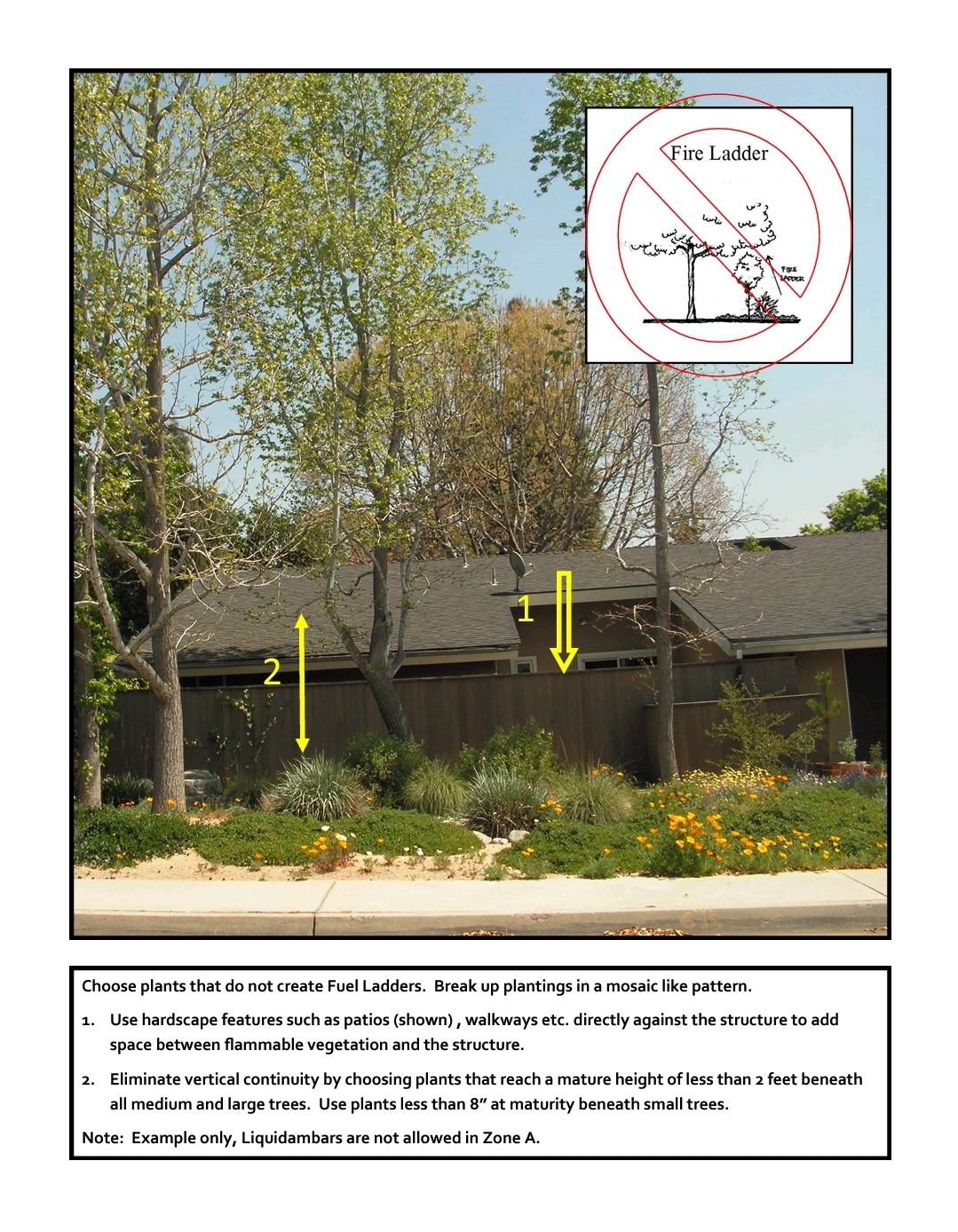 New California AB-38 Fire Disclosure
